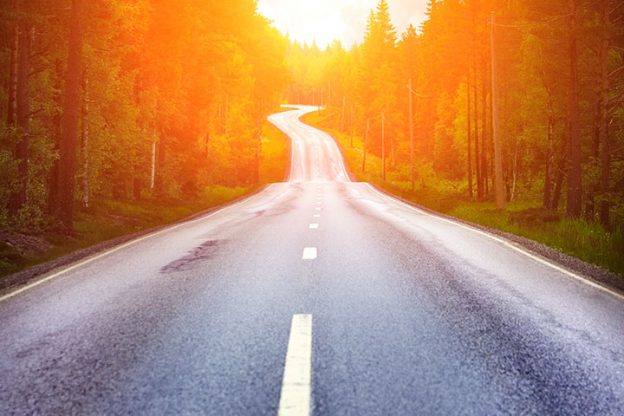 Spring Fling Day Trips for You and Your Senior – Senior Care Advice ...
